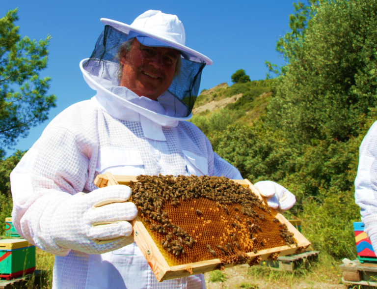 Bee Museum Rhodes - Museums Rhodes | Sights Rhodes | Beekeeping